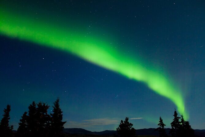 Northern Lights Hunting of Rovaniemi - The Itinerary: What to Expect