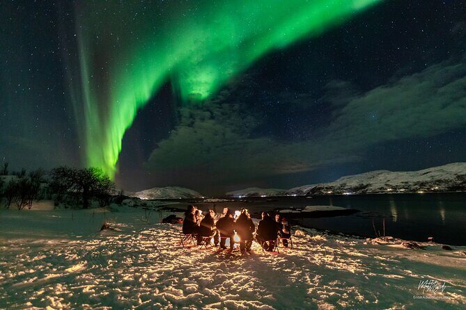 Northern Lights Minibus with Photos Dinner Warm suits - Detailed Experience and What Makes It Special