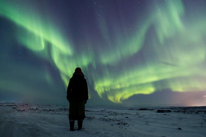 Northern Lights Small Group Tour from Reykjavik with Free Photos - The Actual Experience: What’s in Store