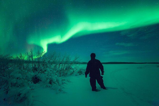 Northern Lights Snowmobile Safari from Rovaniemi with Campfire Picnic - The Real Experience — What Travelers Are Saying