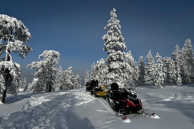 Northern Lights Tour Snowmobile Driving - The Ride: Realities and Expectations
