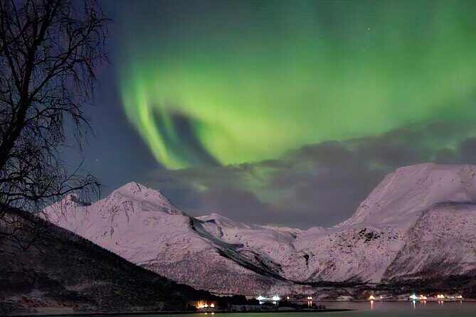 Northern Lights Tour, Tromso, Local Guide, Private Basecamp - Who Should Consider This Tour?