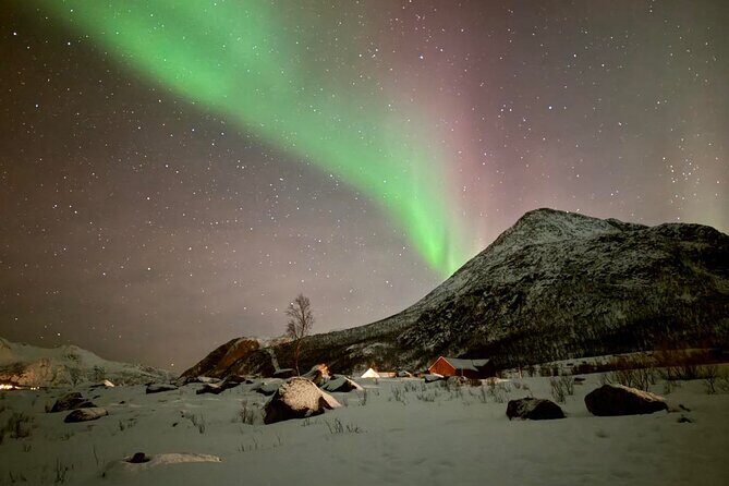 Northern Lights Tour with Hot Food and Drinks in Tromso - Who Will Love This Tour?