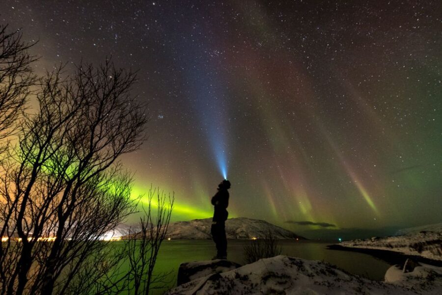 Northern lights Tromsø - small group tour with local guide - What the Price Gets You and Its Value