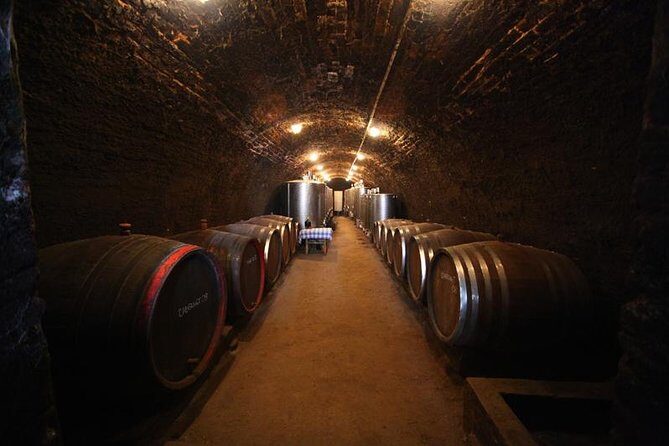 Novi Sad and Sremski Karlovci private tour with wine tasting - The Value of This Tour