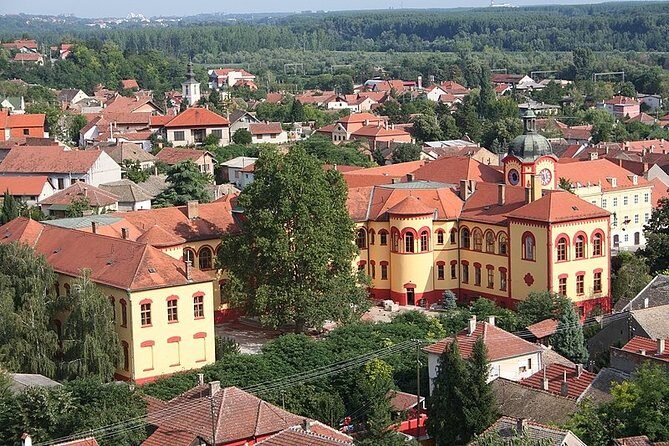 Novi Sad and Sremski Karlovci Wine Tour From Belgrade - Who Will Enjoy This Tour?