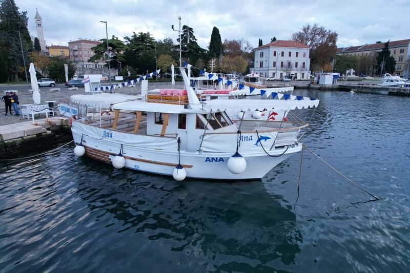 NP Brijuni Island Swimming & Dolphin Watching Sunset Cruise - Authentic Experiences & Practical Insights