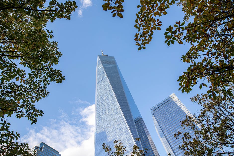 One World Trade Center framed by trees