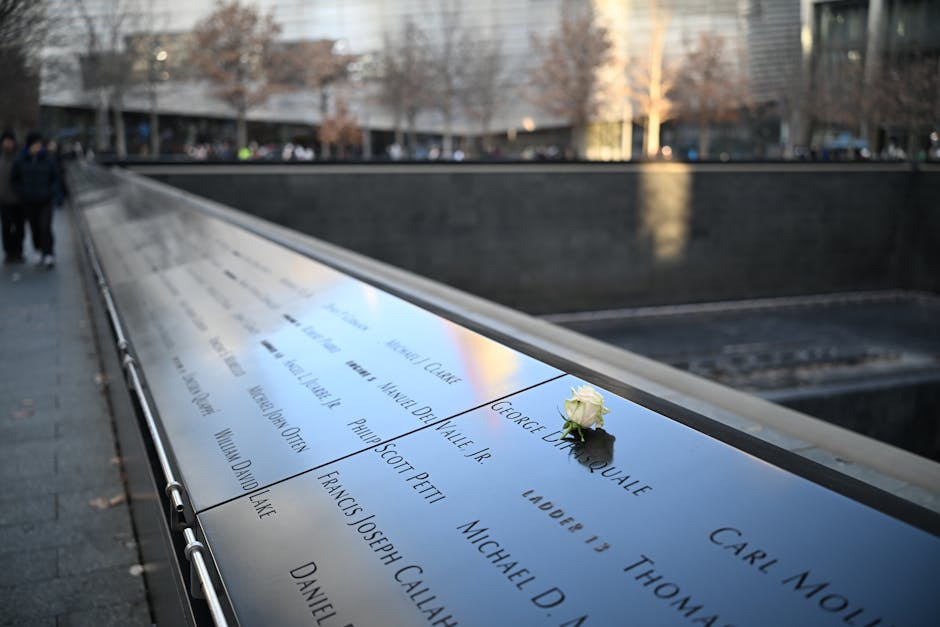 White rose on engraved names at 9/11 Memorial