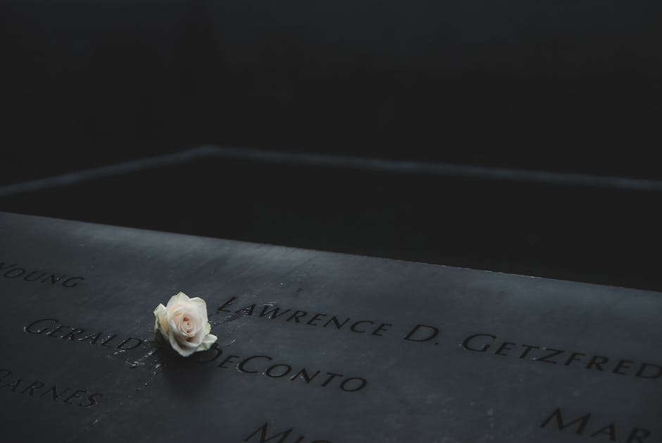 A white rose on engraved names at the 9/11 Memorial