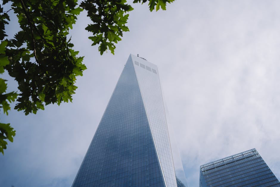 One World Trade Center soaring into sky