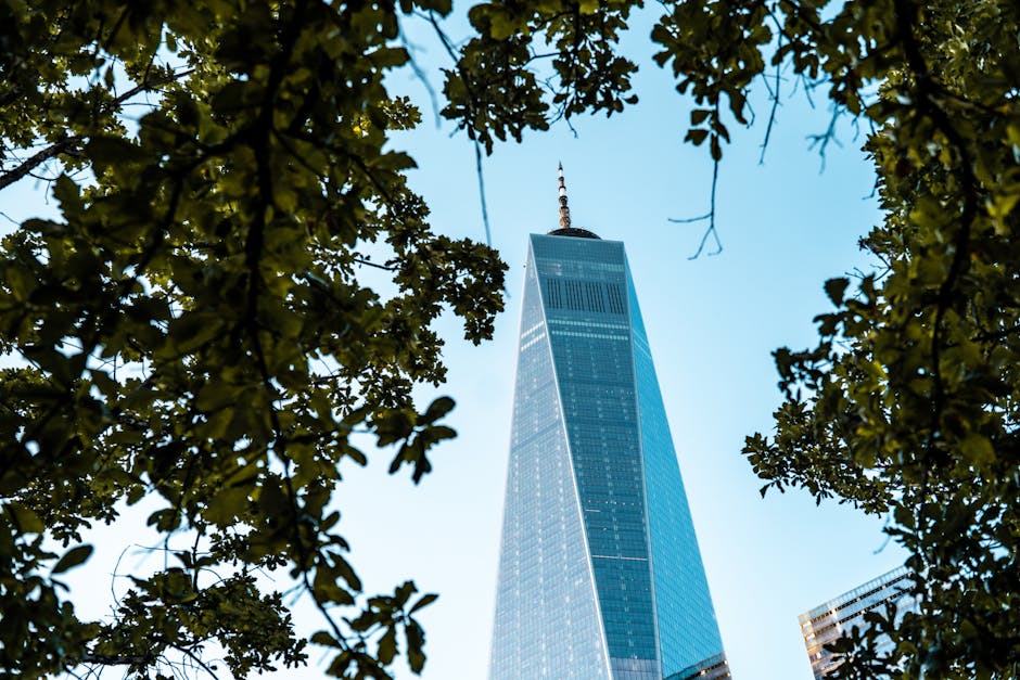 One World Trade Center among surrounding buildings