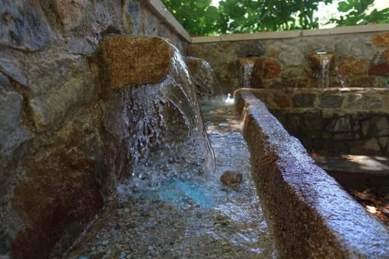 Off-Road: Natural Lake, Mountain Gorges, Palm Forest & Beach - What You Should Know Before Booking