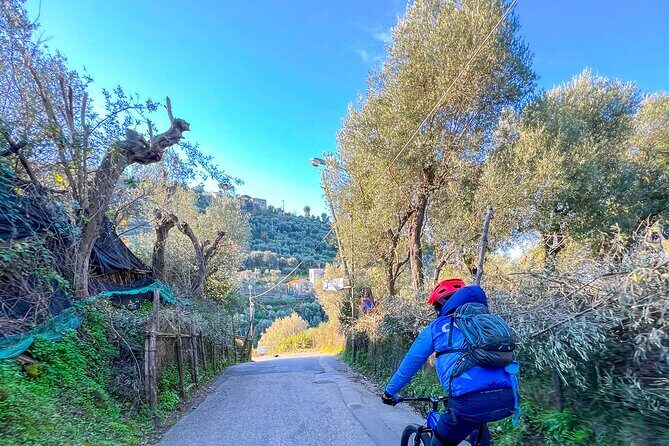 Oil and Lemon - Sorrento e-Bike Tour Experience - Who Will Love This Tour?