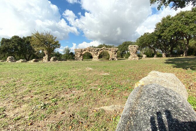 Olbia : Ancient Sardinia Archaeological Tour + pickup included - A Closer Look at the Itinerary