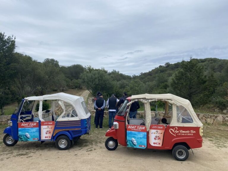 Olbia: Archaeological Tour of Ancient Sardinia + Transport - Transportation and Group Dynamics