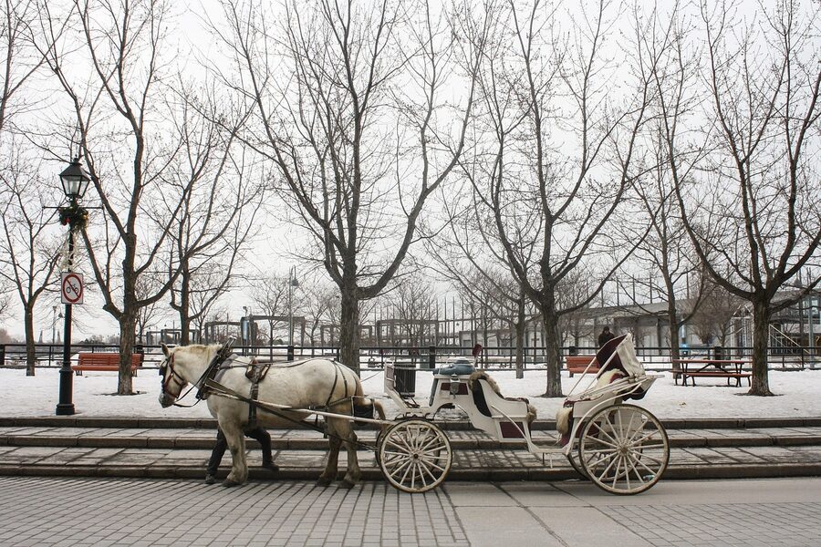 Horse drawn carriage in Old Montreal winter snow