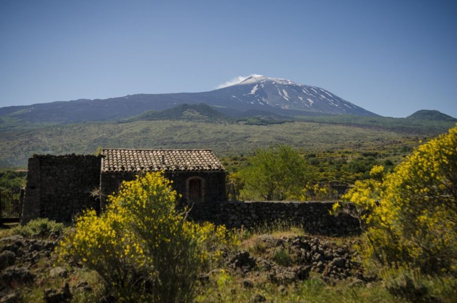 Old Sicily and Etna wine tasting tour from Taormina - Practical Details and What to Expect