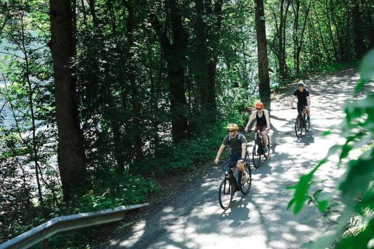 Olden: Guided e-bike tour - The Route and Stops: A Closer Look