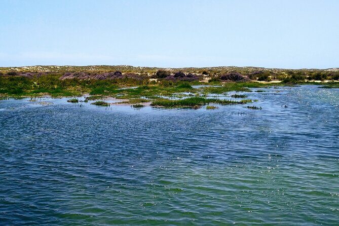 Olhão: 5H PRIVATE Guided Boat Tour, Slow Tourism in Ria Formosa. - The Itinerary in Detail