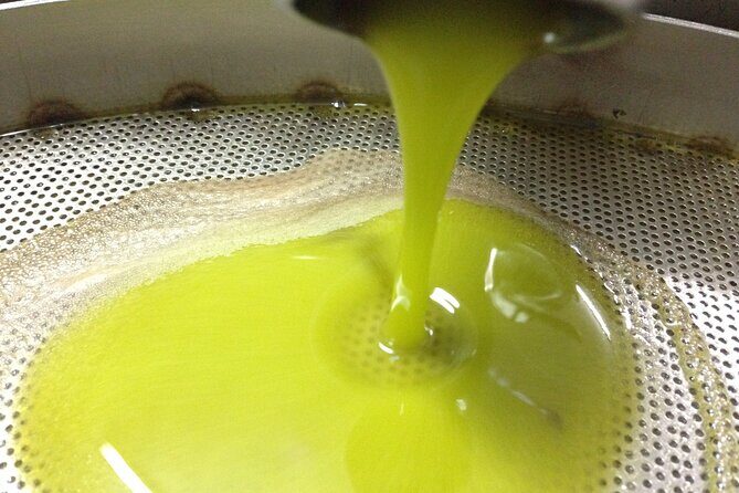 Olive Oil Mill experience and tasting in Salento with Guide - The Art of Olive Oil Tasting and Food Pairing