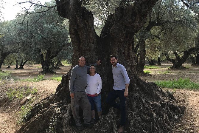 Olive Oil Tour and Visit to Belchite Old Town - Who Would Love This Tour?