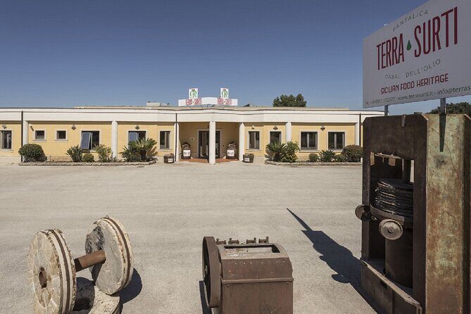 Olive Oil Tour Visit to the oil mill and olive oil tasting - Tasting Delights & Local Flavors