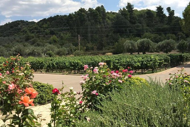 Olympia - Private Half Day Tour with Mini Bus - FAQs