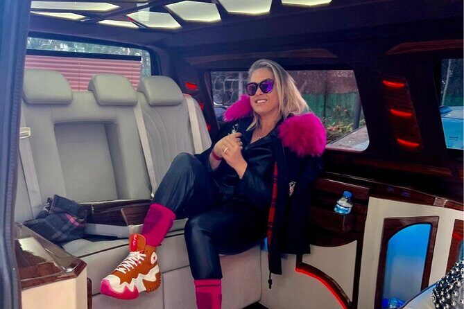 One Way Private Vip Transfer from Istanbul Airport to City Center - Who This Transfer Suits Best