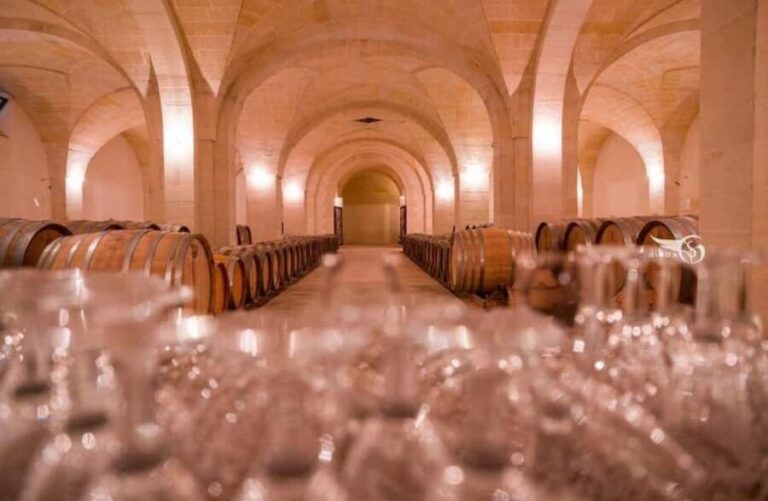 Organic Wine and Olive Oil Tasting Experience near Lecce - Who Is This Tour Best For?