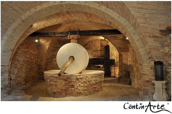 Organic Wine Tasting & tasting of EVO CantinArte OIL MUSEUM - Detailed Breakdown of the Itinerary