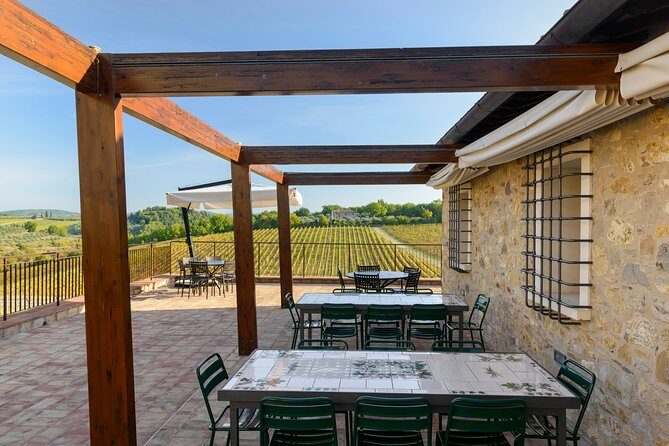 Organic Wine Tour&Tasting overlooking Chianti Classico Vineyards - Final Thoughts