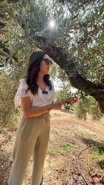 "Oro Bailén": Tour of Oro Bailen Grove + Mill + Tasting - The Itinerary Breakdown: From Grove to Tasting