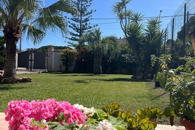 Ortigia market tour and traditional cooking lesson - Who Will Love This Experience?
