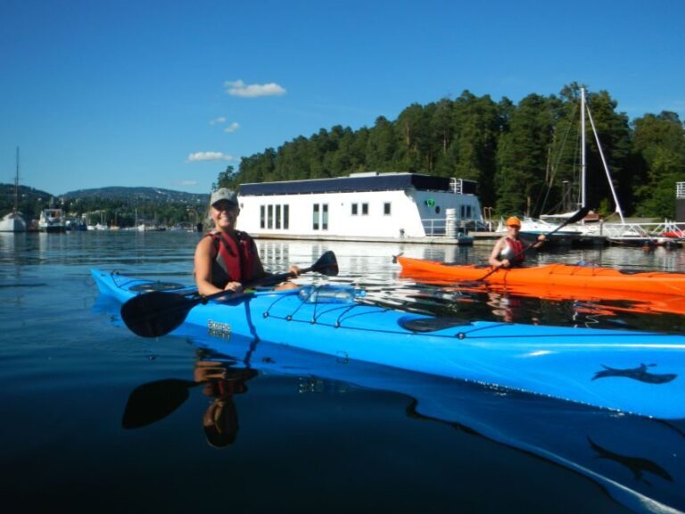 Oslo: 3-hour Kayaking Trip on the Oslofjord - The Experience Itself: What You Can Expect
