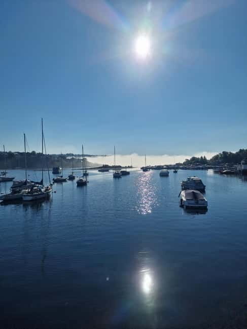 Oslo: Malmøya most beautiful Island Guided Hike-Waffle&Drink - What Sets This Tour Apart?