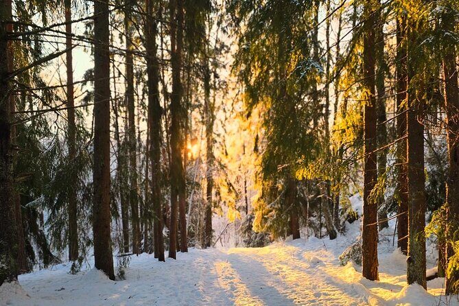 Oslo: Panoramic Fjord Hike Lead by a Local Guide and Dog - Meeting Points and Practical Details