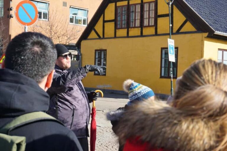 Oslo: The Grand Experience Walking Tour with Lunch or Dinner - What We Loved About the Tour