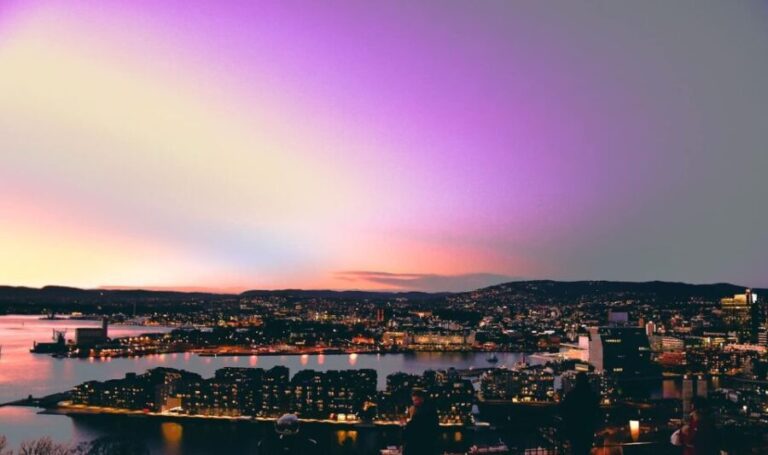 Oslo Unveiled: Private Walking Tour - What Makes This Tour Stand Out?