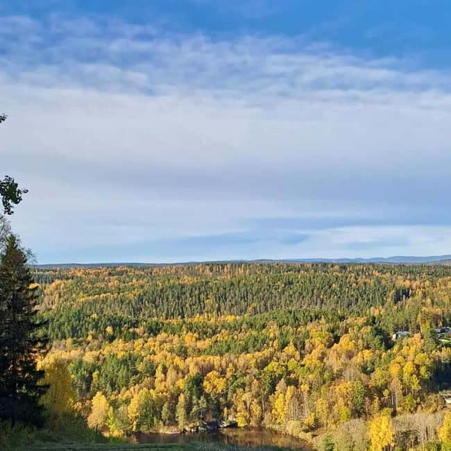 Oslo: Winter Wonderland Forest Hike and Campfire with a Dog - Why This Tour Works