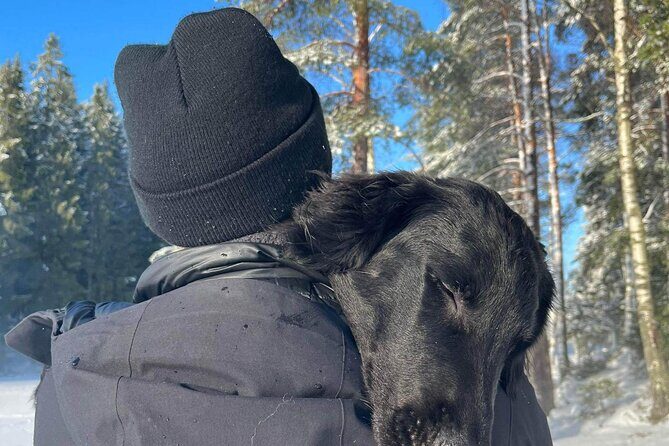 Oslo: Winter wonderland forest hike & campfire with a dog - Practical Details: What You Need to Know