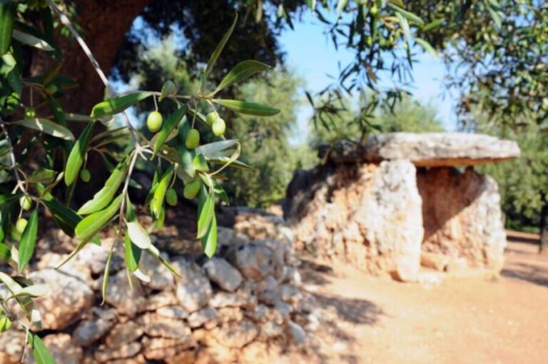 Ostuni: E-bike Tour, Ancient Olive Trees & Oil Tasting - What Sets This Tour Apart