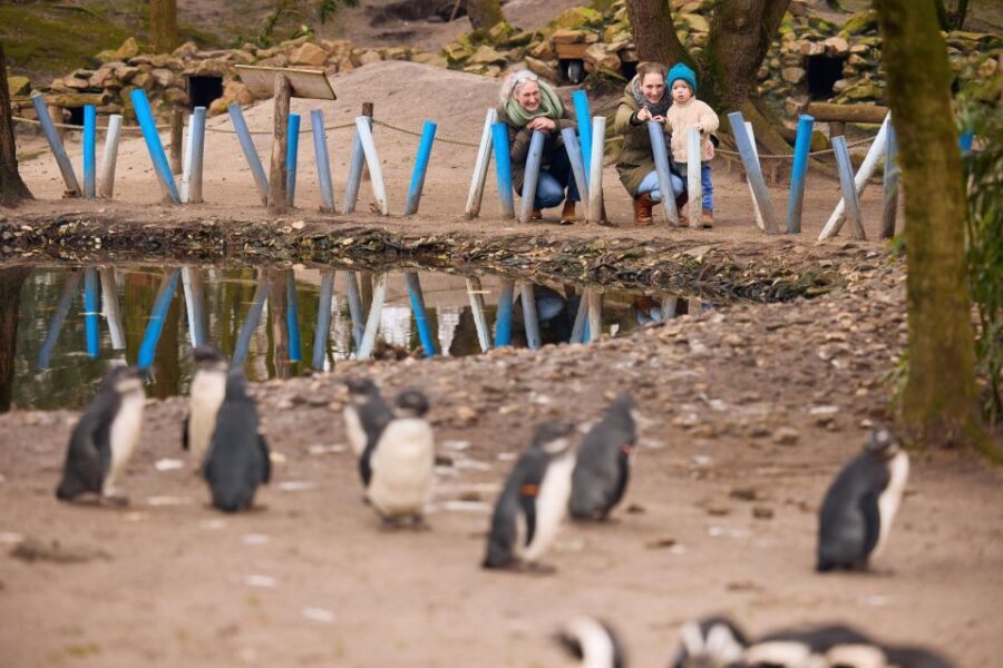 Overloon: ZooParc Entrance Ticket - A Closer Look at the ZooParc Overloon Experience