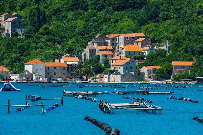 Oyster farm experience / Private day trip from Dubrovnik - Final Thoughts