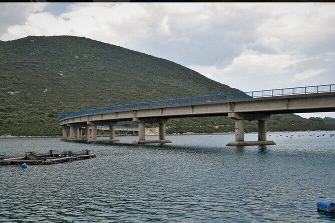 Oysters and mussels tasting with wine in Ston and Peljeac - What You Can Expect from the Tour
