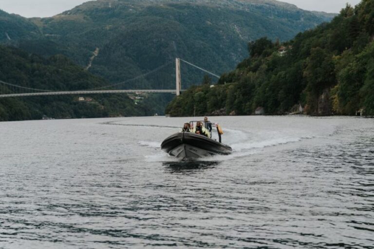 Øystese: Hardangerfjord RIB safari to the Fyksesund branch - What Makes This Tour Stand Out?