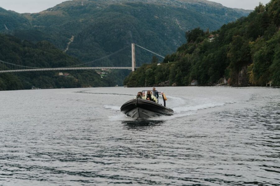 Øystese: Hardangerfjord RIB safari to the Fyksesund branch - What Makes This Tour Stand Out?