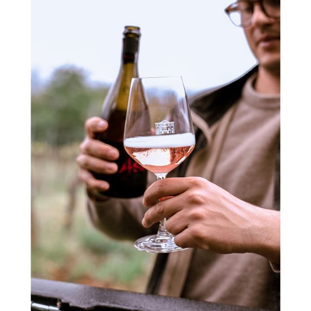 Ozzano Emilia: Guided Cellar Walking Tour with Wine Tasting - The Value and Practicalities