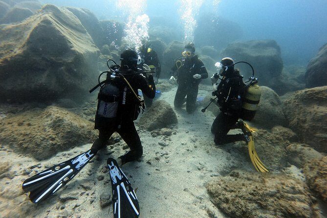 PADI Open Water Course in Costa Adeje - What Do Past Divers Say?