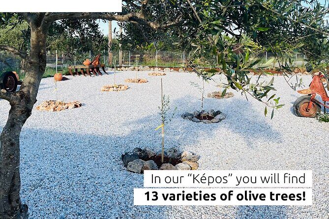 Pallada Semi-Private Olive Oil Tours in Sternes, Chania - Why This Tour Is a Great Choice